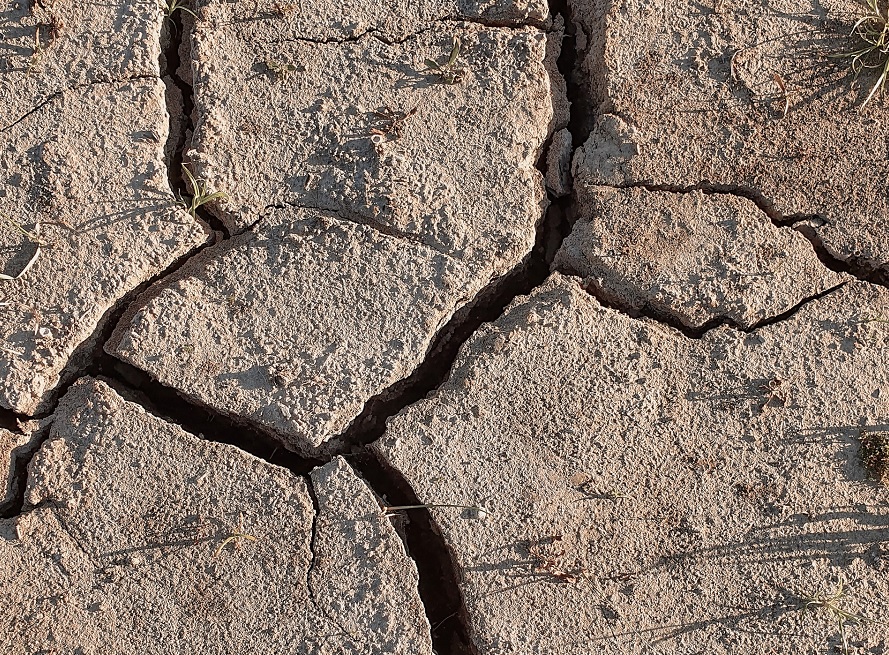 Six Reasons Why Your Leads Are Falling Through The Cracks